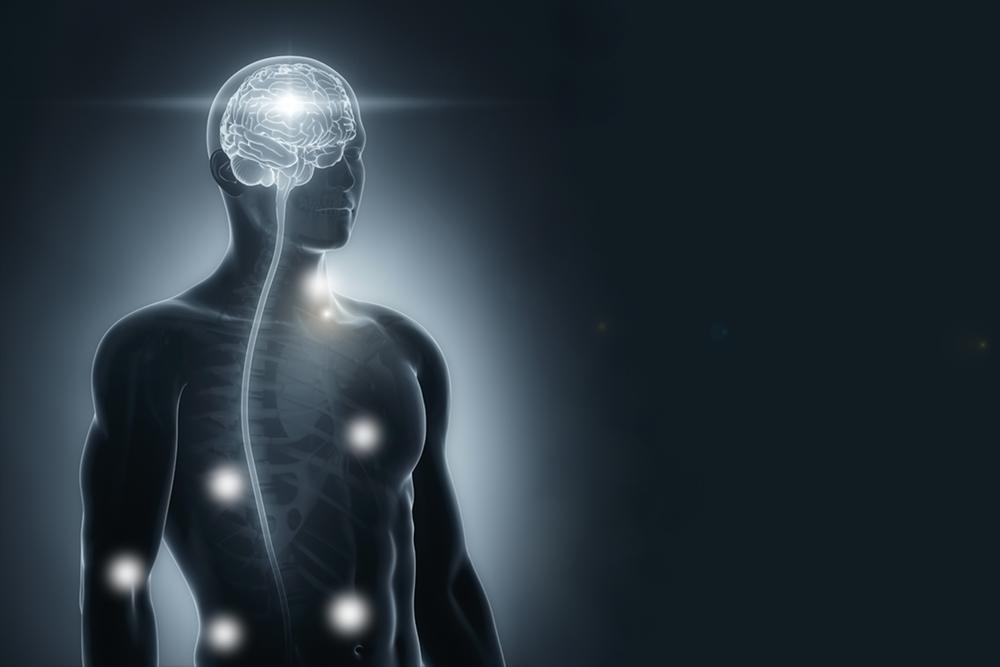 Array 5 - Join Cyrex